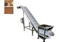 Inclined Belt Industrial Conveyor Systems Highly Efficient Continuous Transmitting